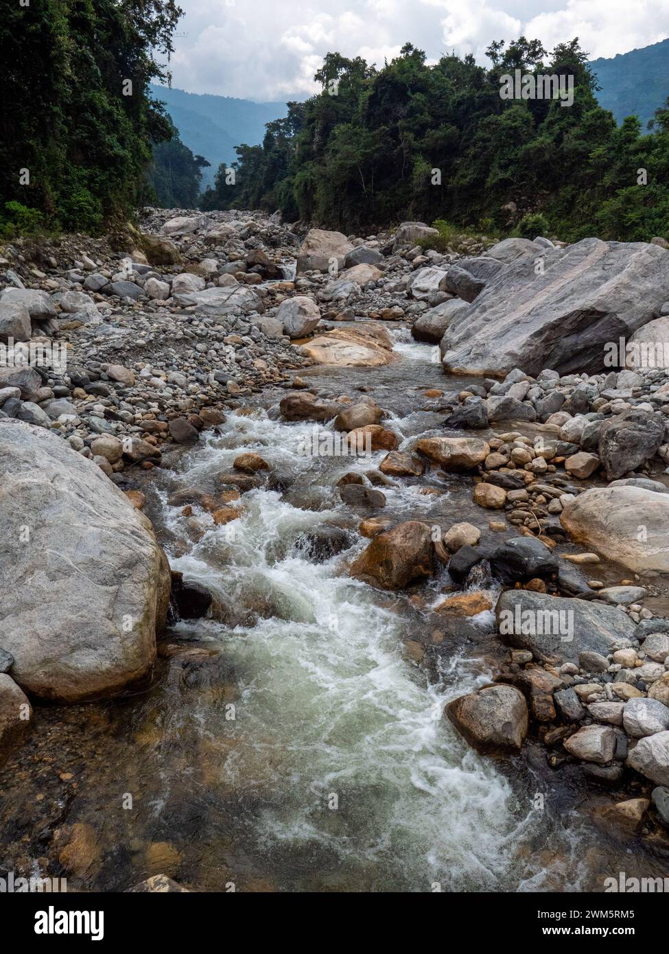 On the Kilembe Trail in the Rwenzori Mountains in Uganda Stock Photo ...