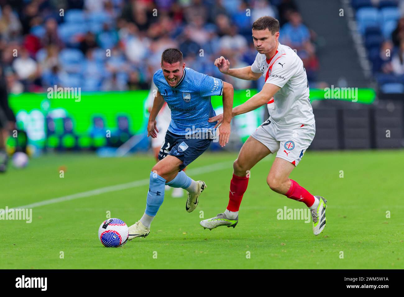Curtis Good of Melbourne City competes for the ball with Róbert Mak of ...