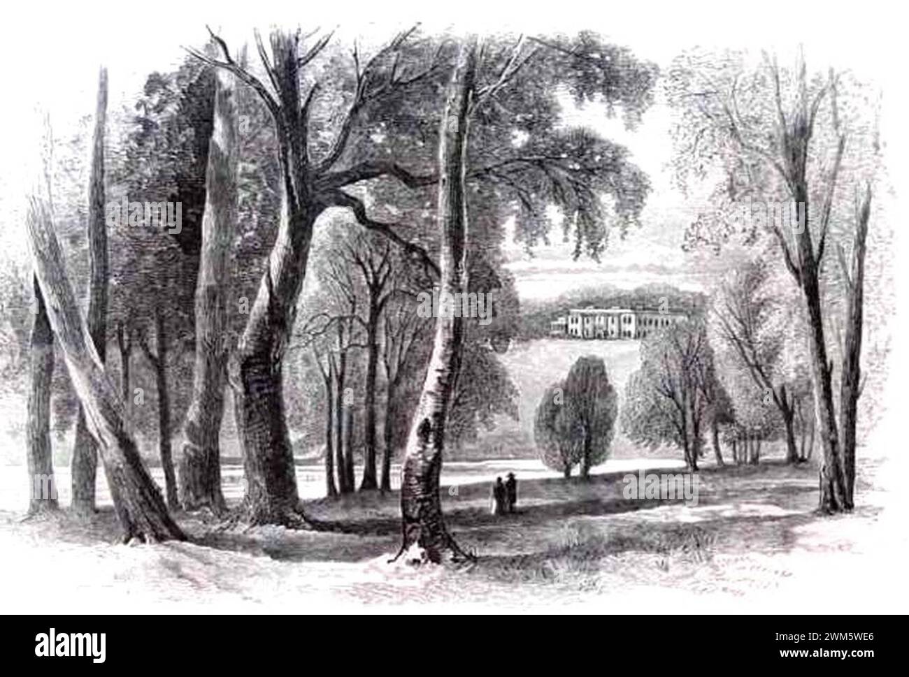 Beech-Hill-Park, the Seat of Charles Jack Esq Stock Photo - Alamy