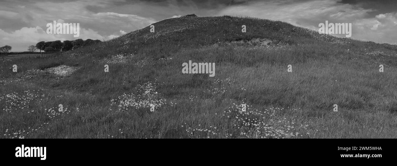 View of Gib Hill part of the Arbor Low Henge Stone Circle, near the ...
