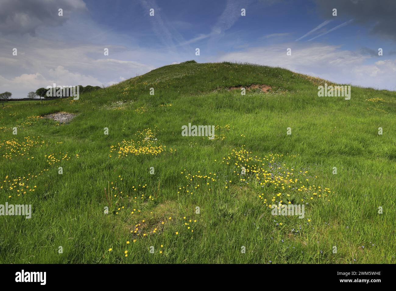 View of Gib Hill part of the Arbor Low Henge Stone Circle, near the ...