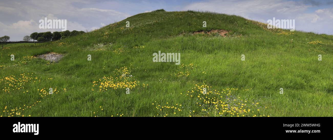 View of Gib Hill part of the Arbor Low Henge Stone Circle, near the ...