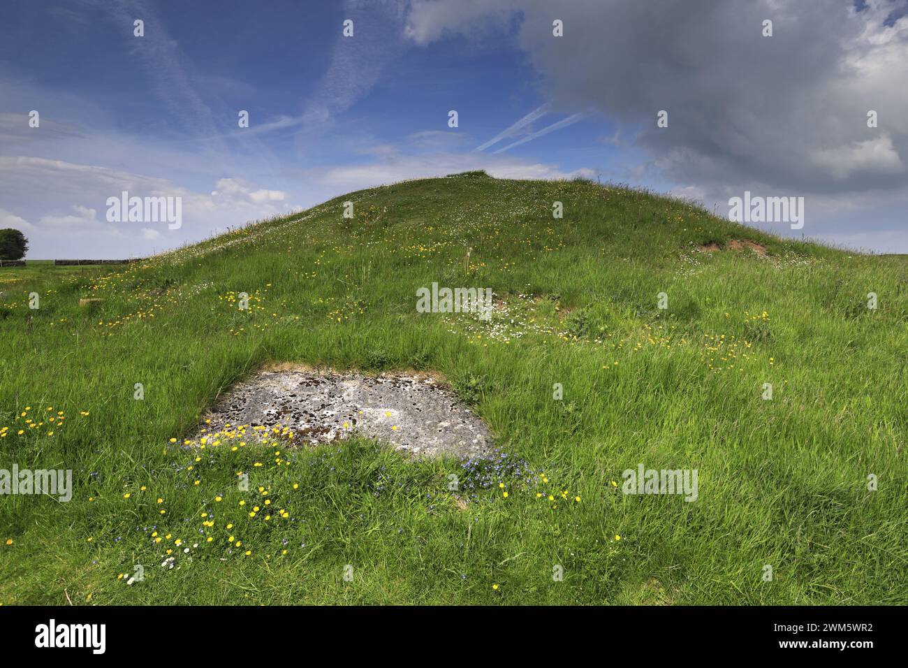 View of Gib Hill part of the Arbor Low Henge Stone Circle, near the ...