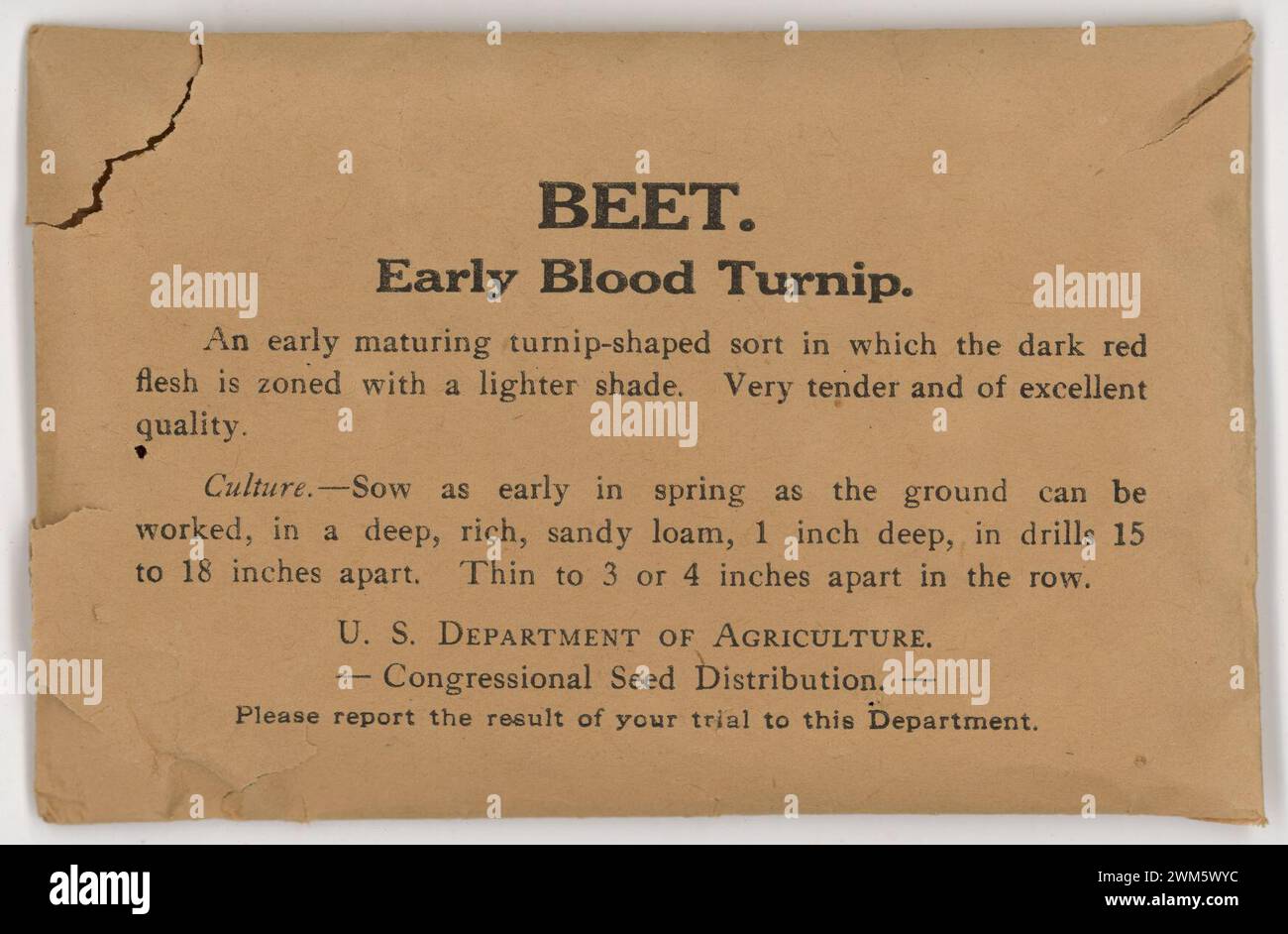 Beet Seed Packet Stock Photo - Alamy