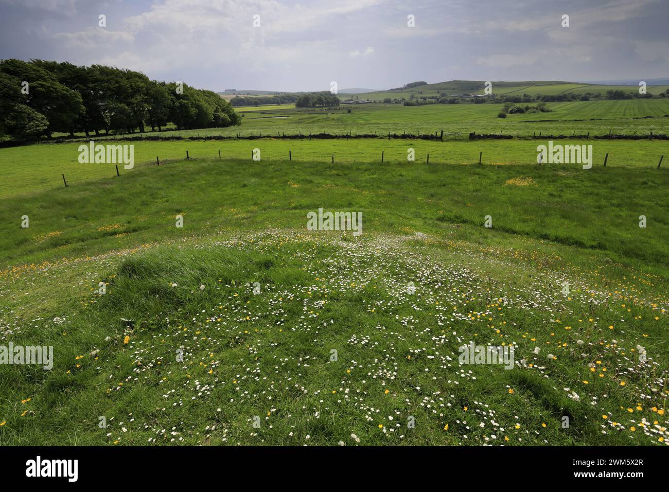 View of Gib Hill part of the Arbor Low Henge Stone Circle, near the ...