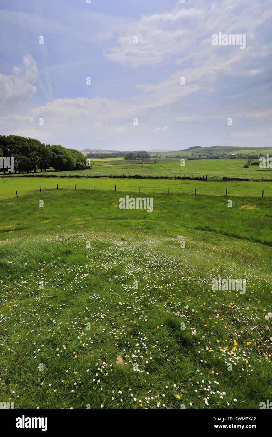 View of Gib Hill part of the Arbor Low Henge Stone Circle, near the ...