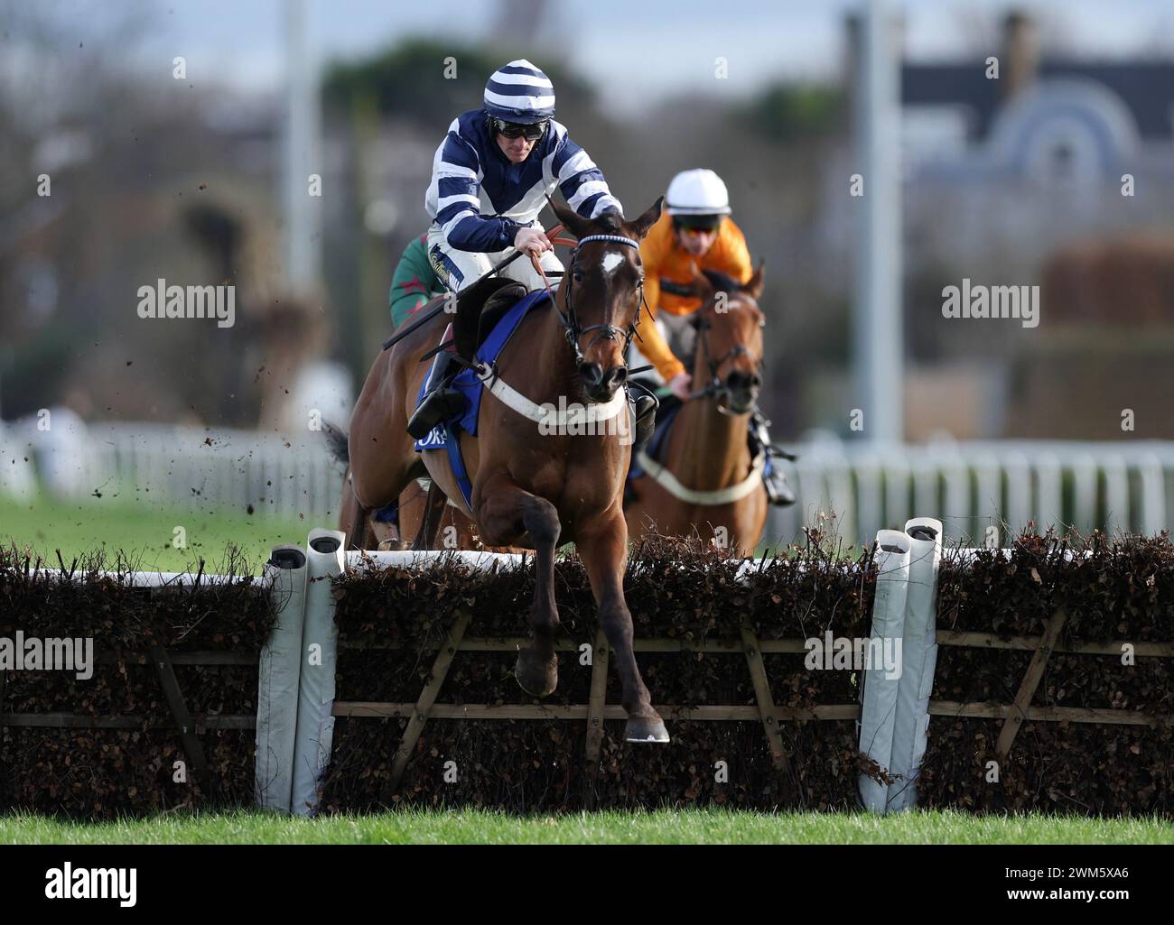 Lump sum horse hi-res stock photography and images - Alamy