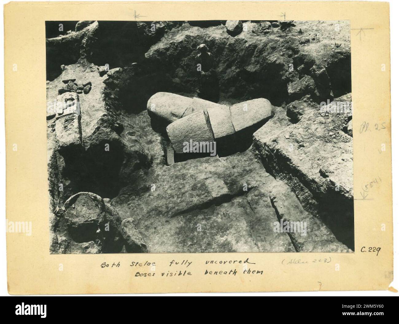 Beisan hi-res stock photography and images - Alamy