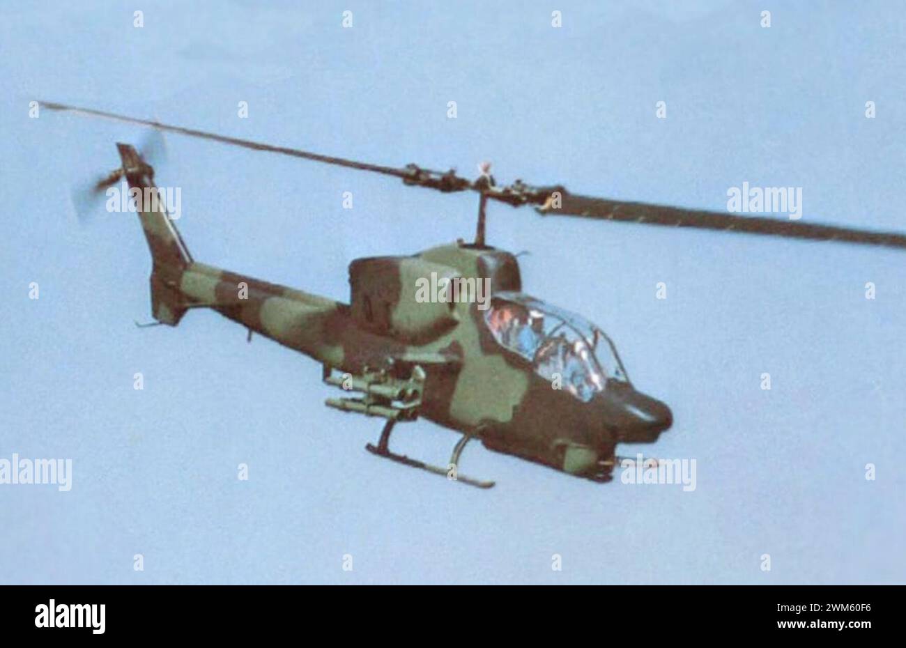 Kingcobra hi-res stock photography and images - Alamy