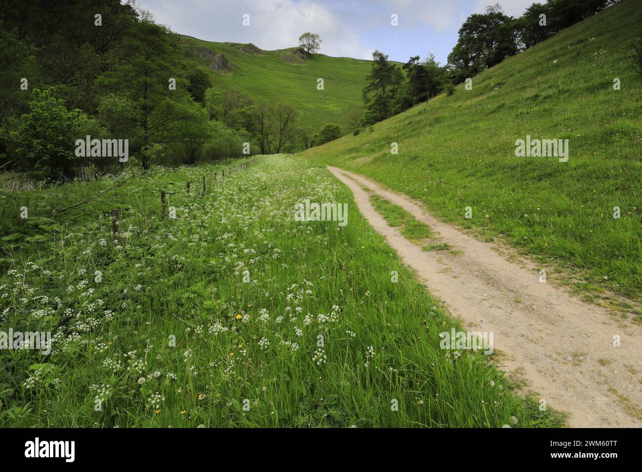 View through the river Dove in Wolfscote Dale, Derbyshire, Peak ...