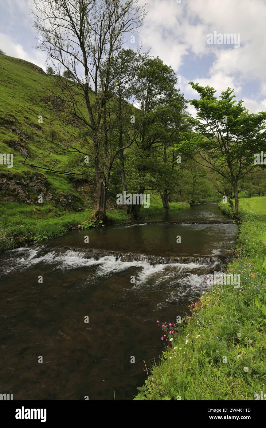 View through the river Dove in Wolfscote Dale, Derbyshire, Peak ...