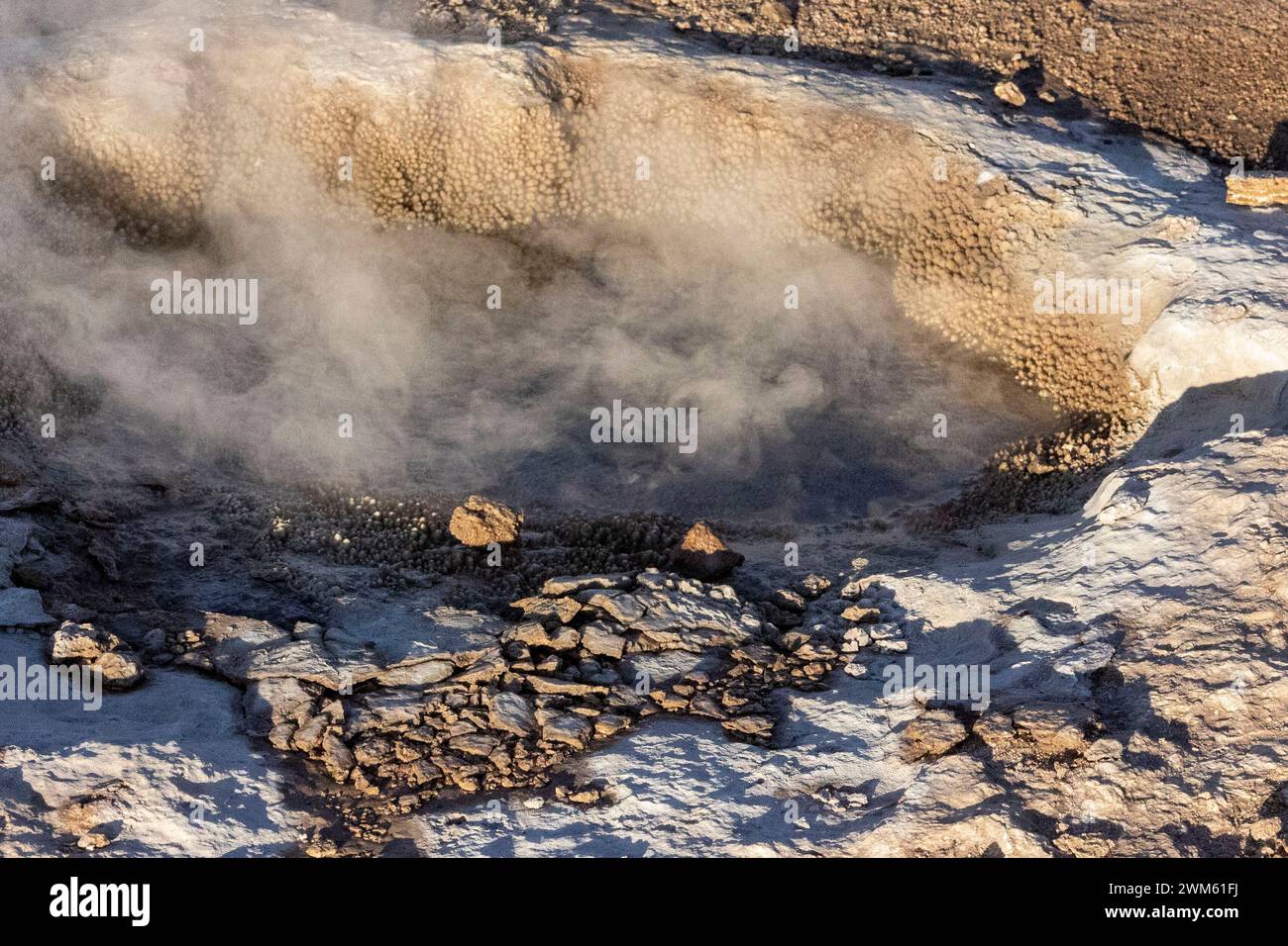 Tatio Geysers, San Pedro de Atacama, Chile. Volcanic hot springs that ...