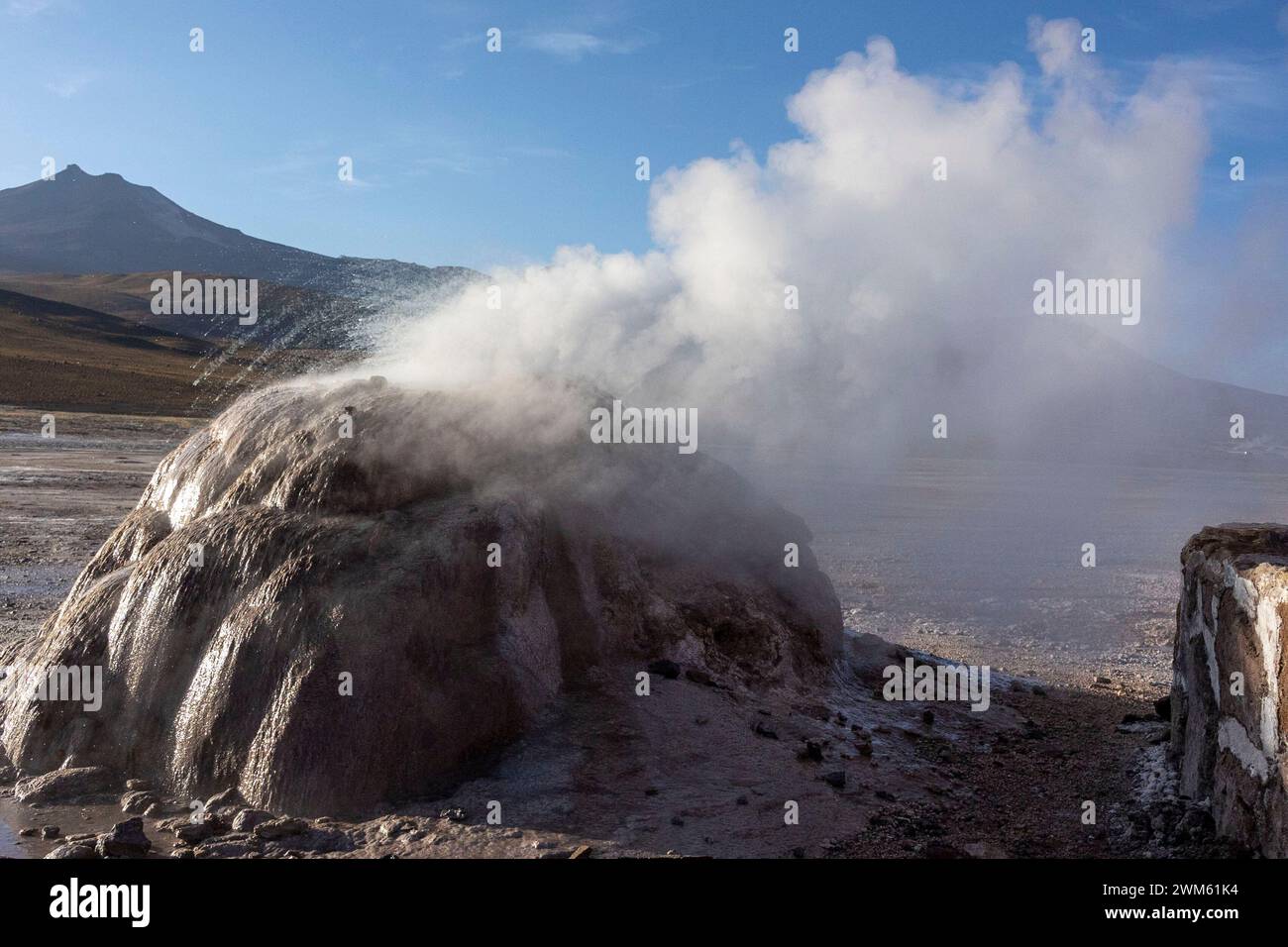 Tatio Geysers, San Pedro de Atacama, Chile. Volcanic hot springs that ...