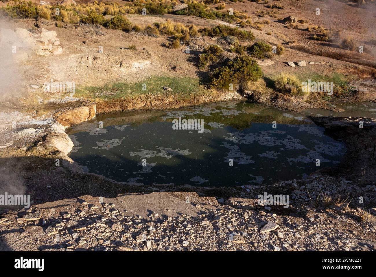 Tatio Geysers, San Pedro de Atacama, Chile. Volcanic hot springs that ...