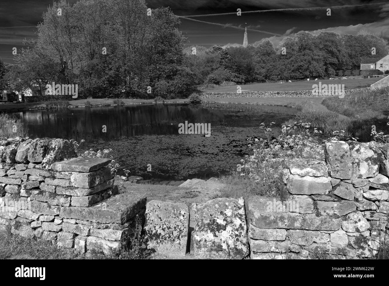 Summer view over Monyash village pond, Peak District National Park ...