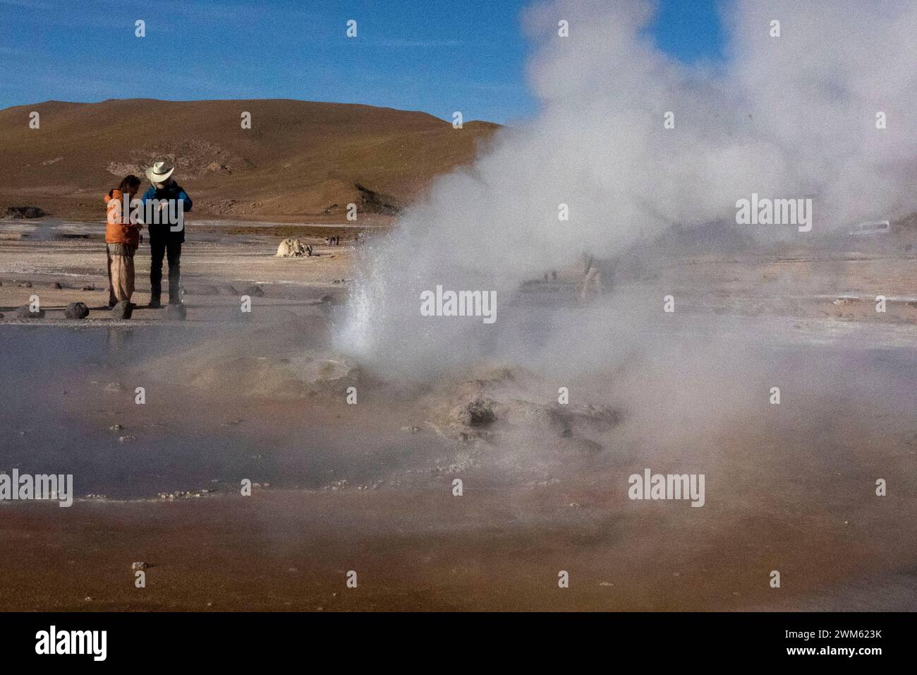 Tatio Geysers, San Pedro de Atacama, Chile. Volcanic hot springs that ...