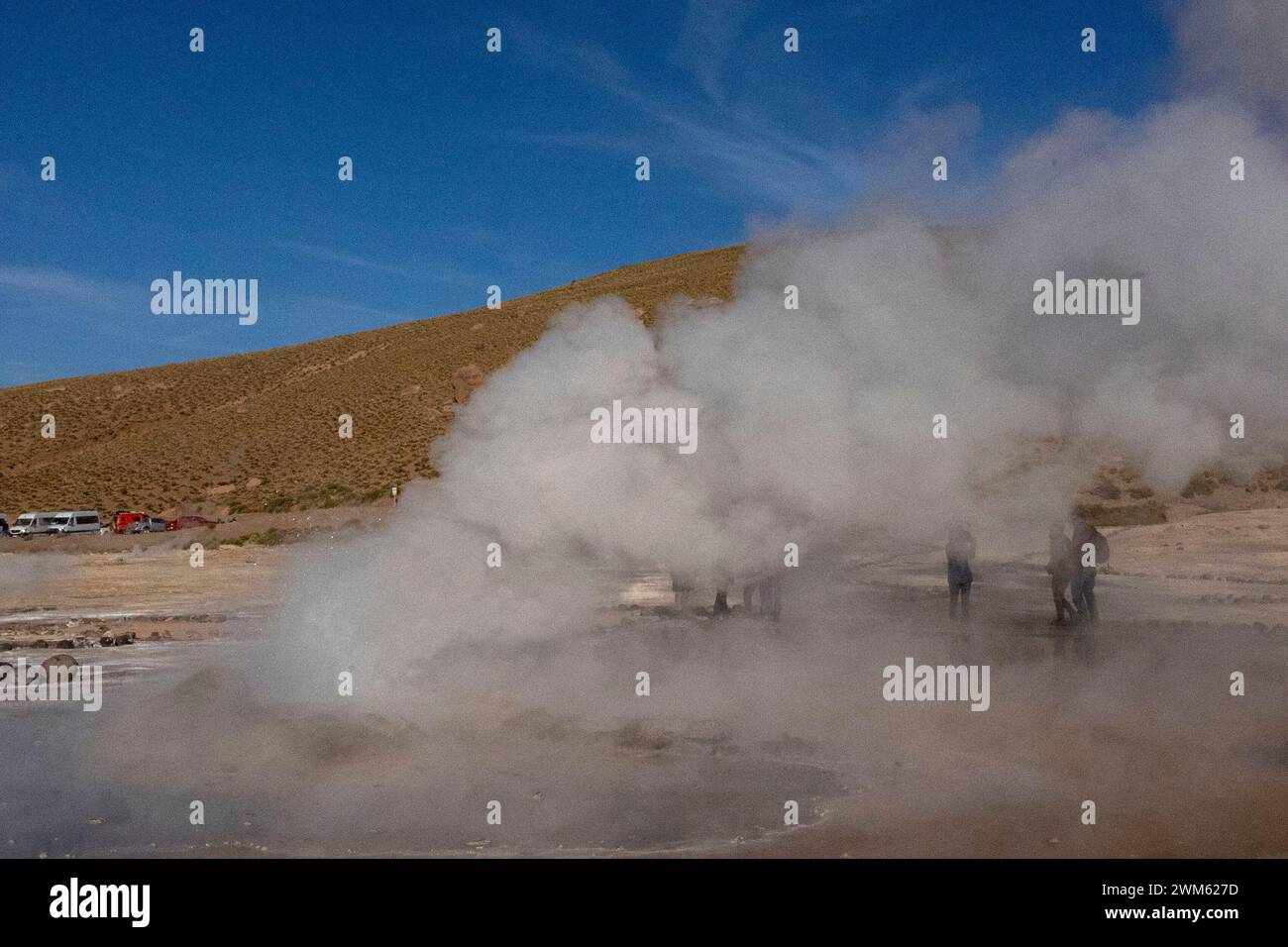 Tatio Geysers, San Pedro de Atacama, Chile. Volcanic hot springs that ...