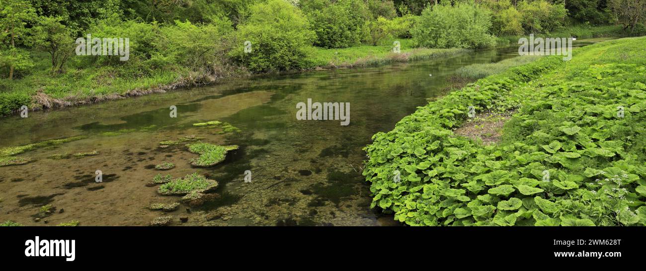 The River Lathkill at Lathkill Dale, Over Haddon village, Derbyshire ...