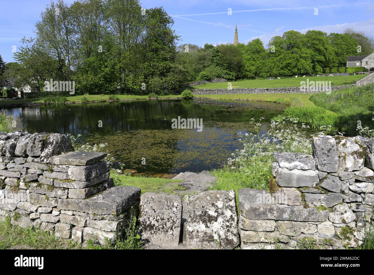 Summer view over Monyash village pond, Peak District National Park ...