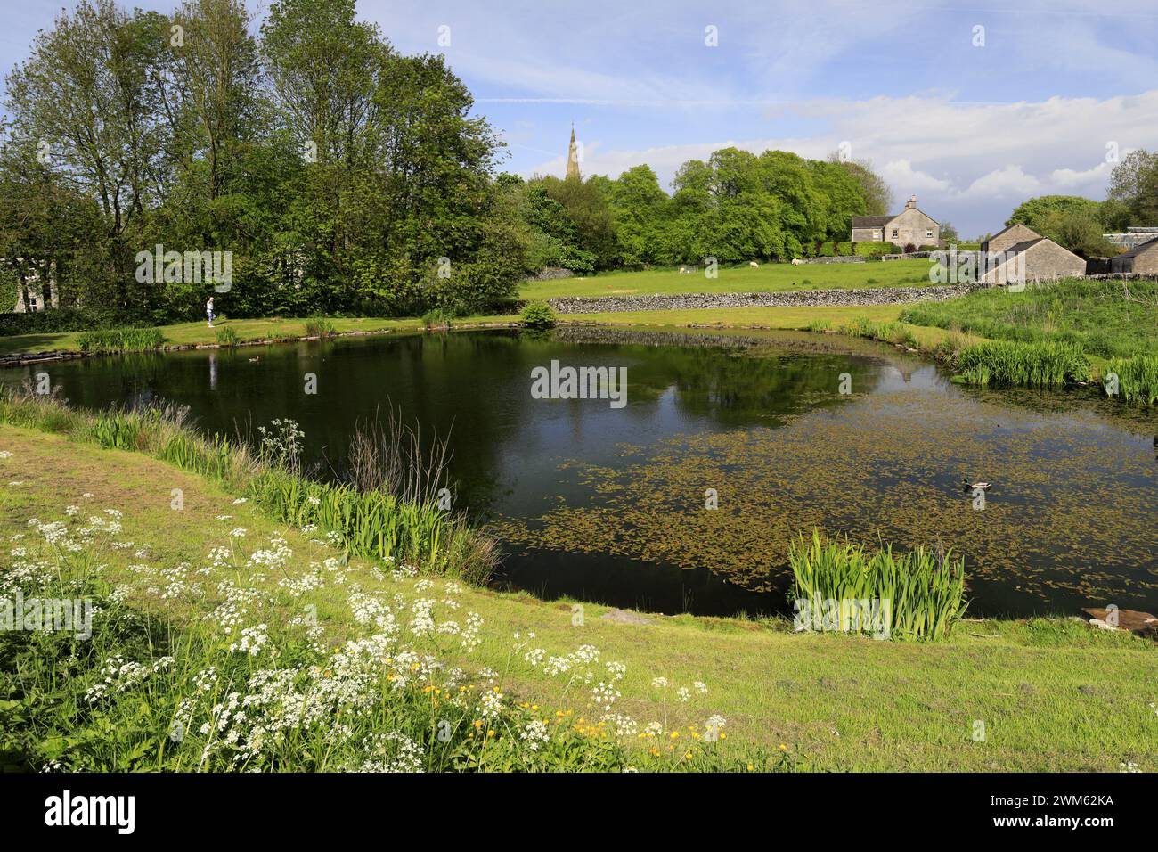 Summer view over Monyash village pond, Peak District National Park ...