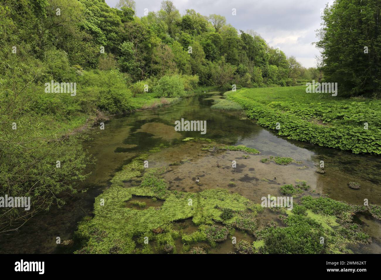 The River Lathkill at Lathkill Dale, Over Haddon village, Derbyshire ...