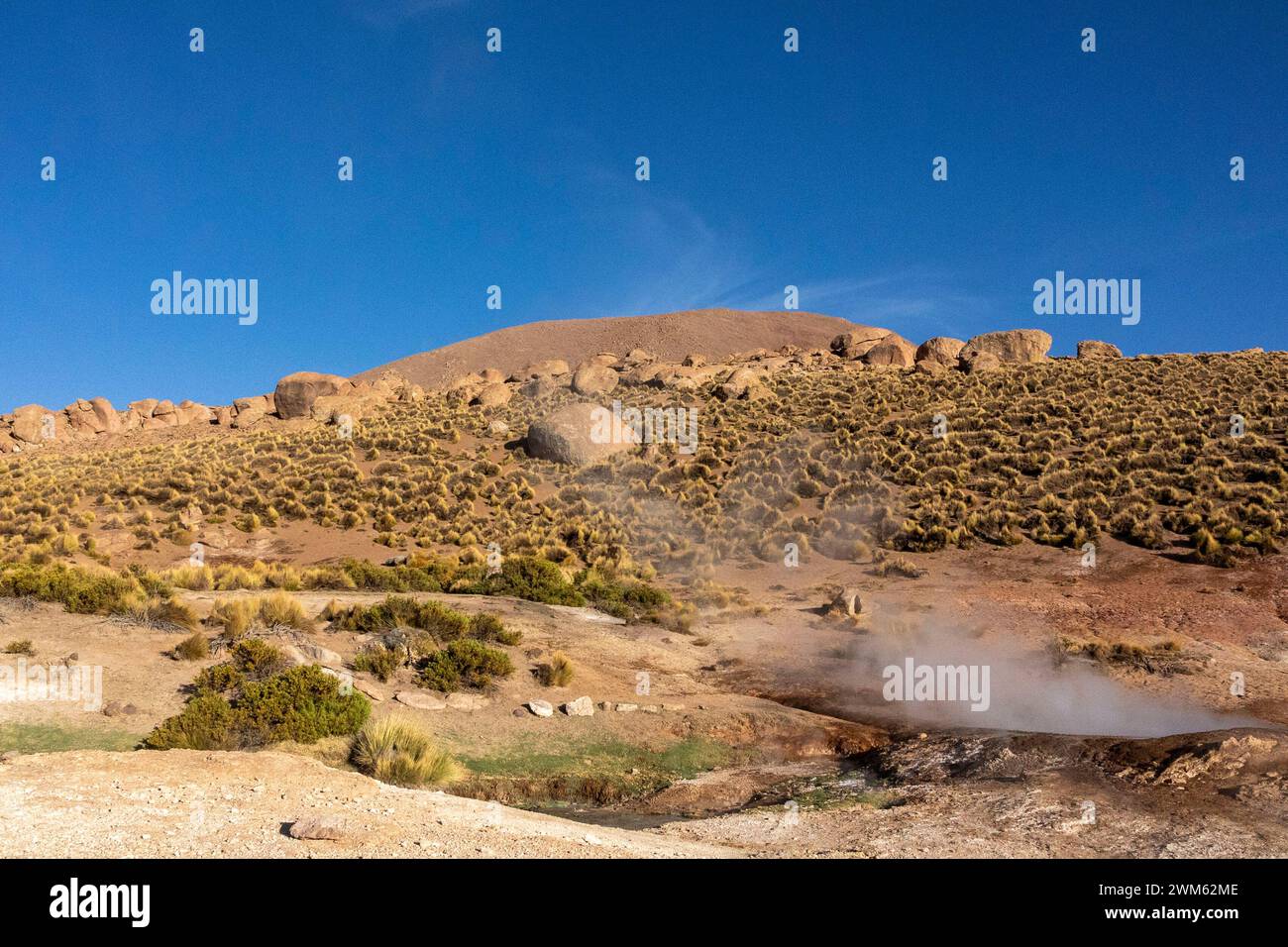 Tatio Geysers, San Pedro de Atacama, Chile. Volcanic hot springs that ...