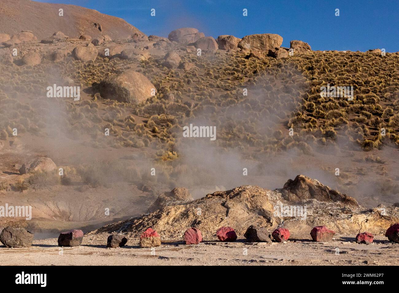 Tatio Geysers, San Pedro de Atacama, Chile. Volcanic hot springs that ...