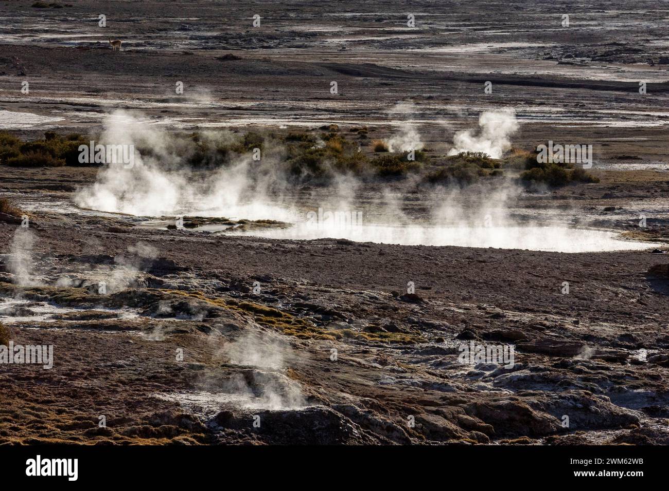 Tatio Geysers, San Pedro de Atacama, Chile. Volcanic hot springs that ...