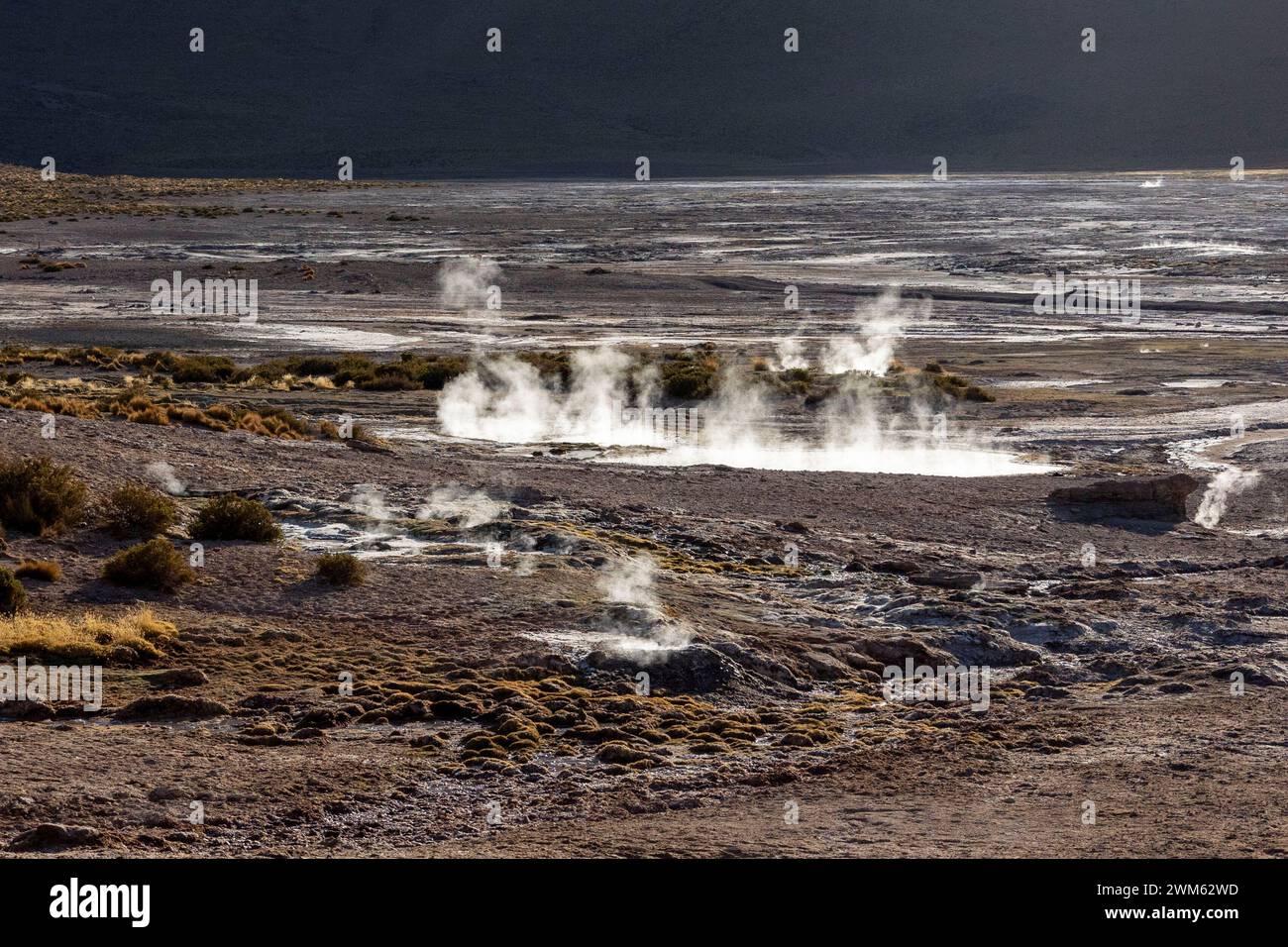 Tatio Geysers, San Pedro de Atacama, Chile. Volcanic hot springs that ...