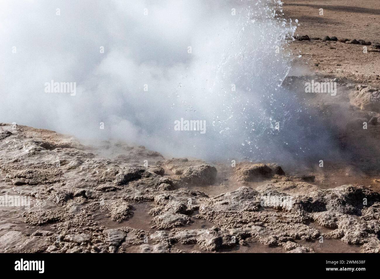 Tatio Geysers, San Pedro de Atacama, Chile. Volcanic hot springs that ...