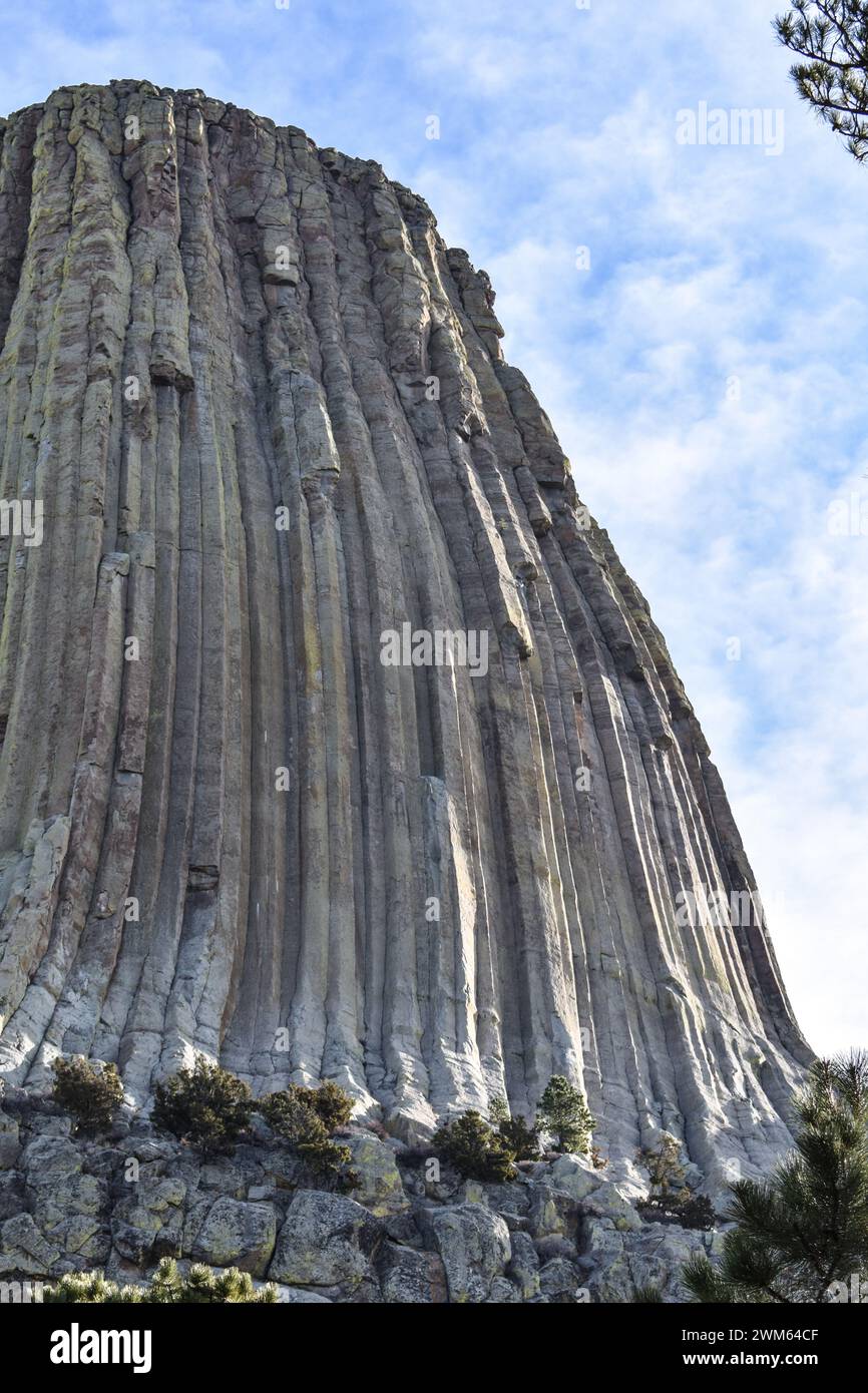 Devils Tower stands tall showing the texture of the basalt columns in ...