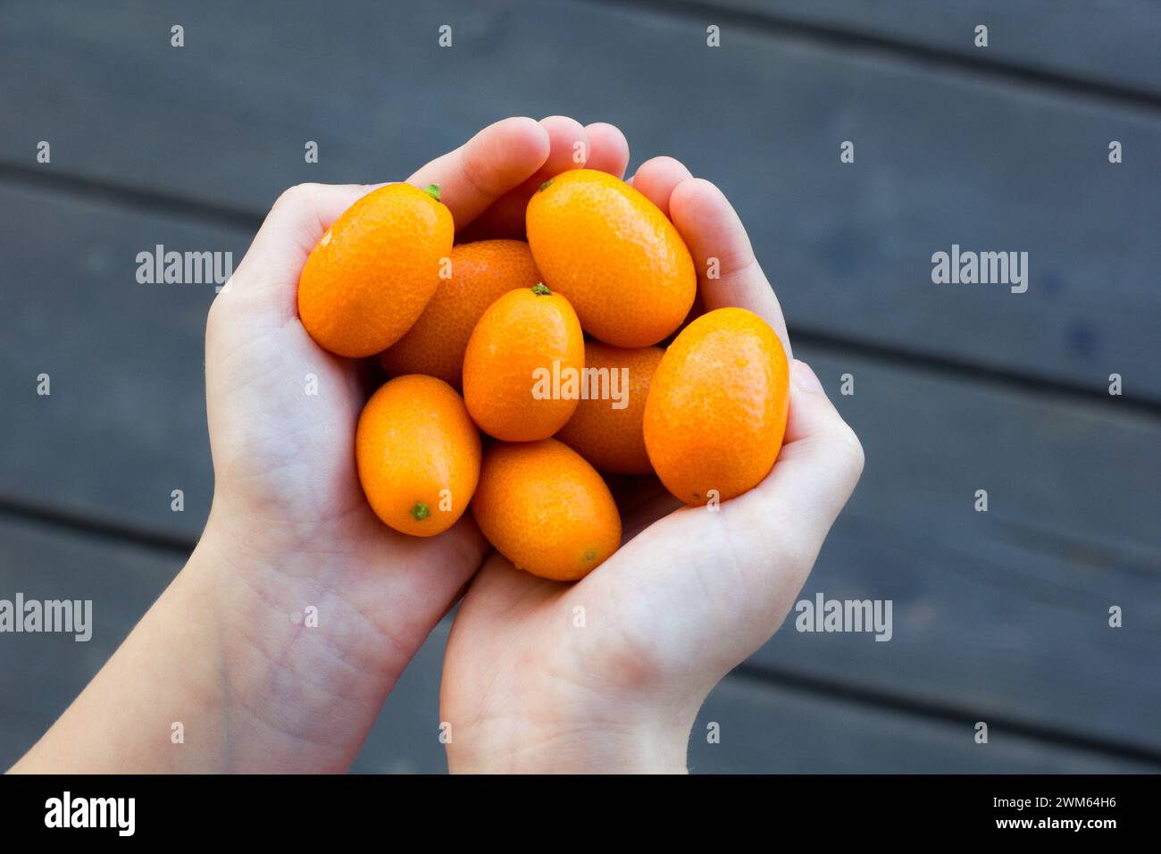 Orange fruit for kids hi-res stock photography and images - Alamy