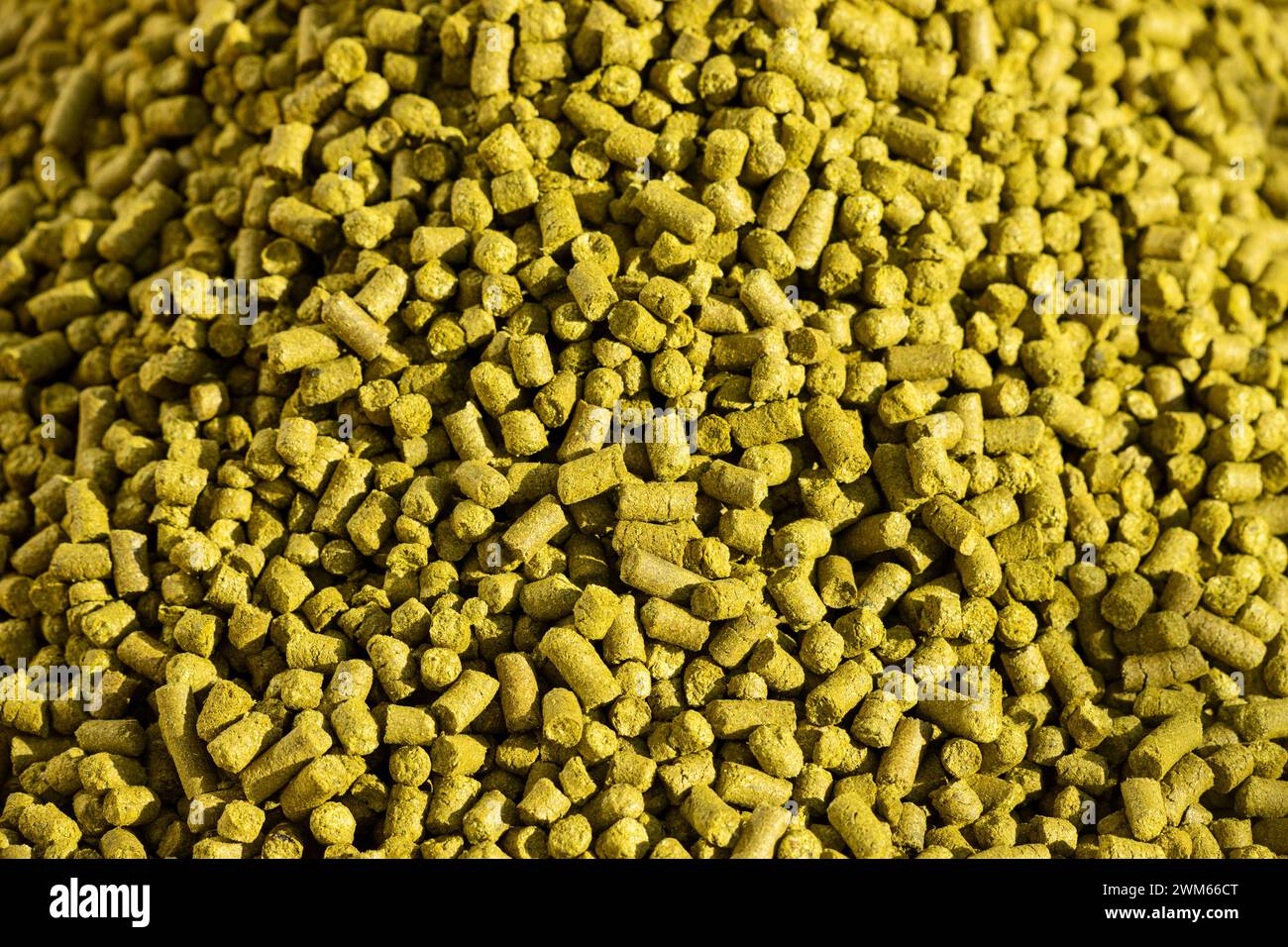 overview of fresh hop pellets Stock Photo - Alamy