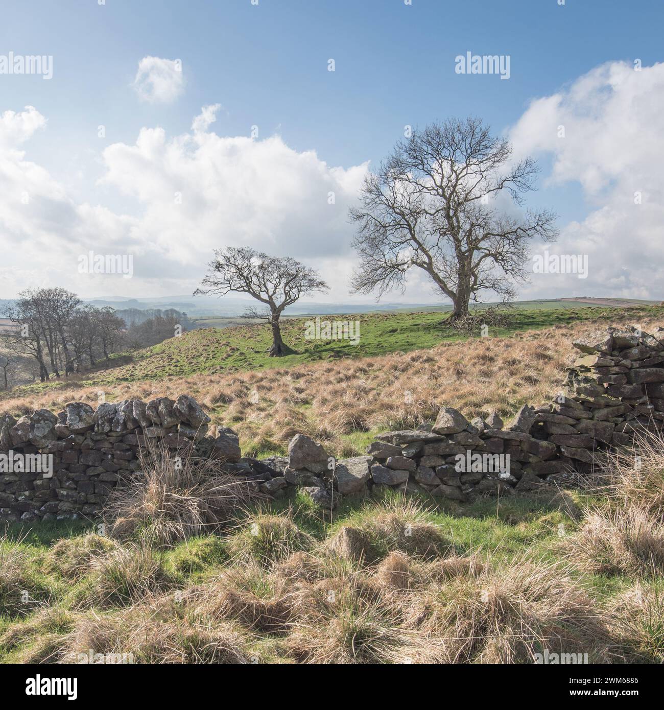 Bookil gill hi-res stock photography and images - Alamy