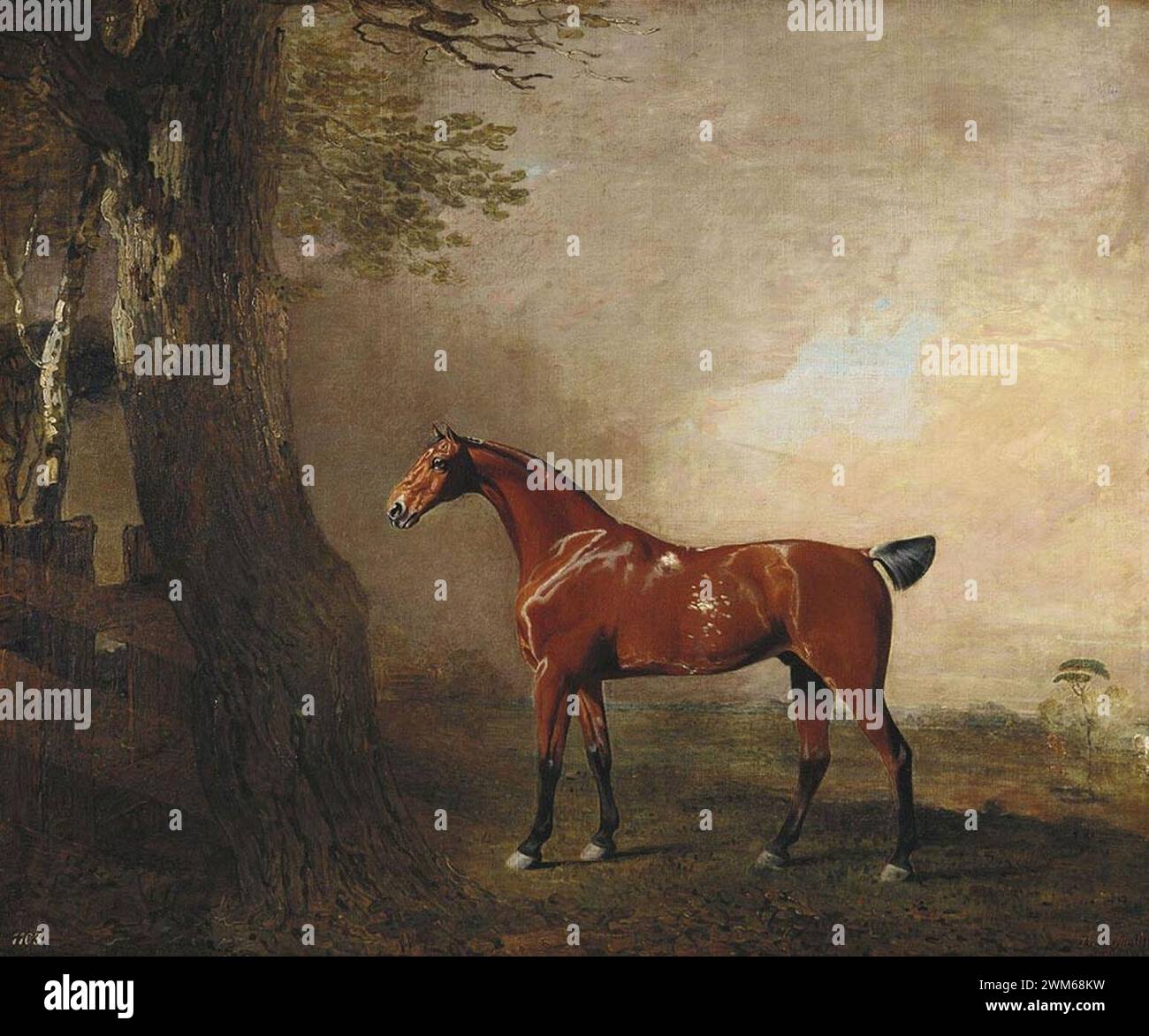 Benjamin Marshall (1768-1835) - Tiger Stock Photo - Alamy