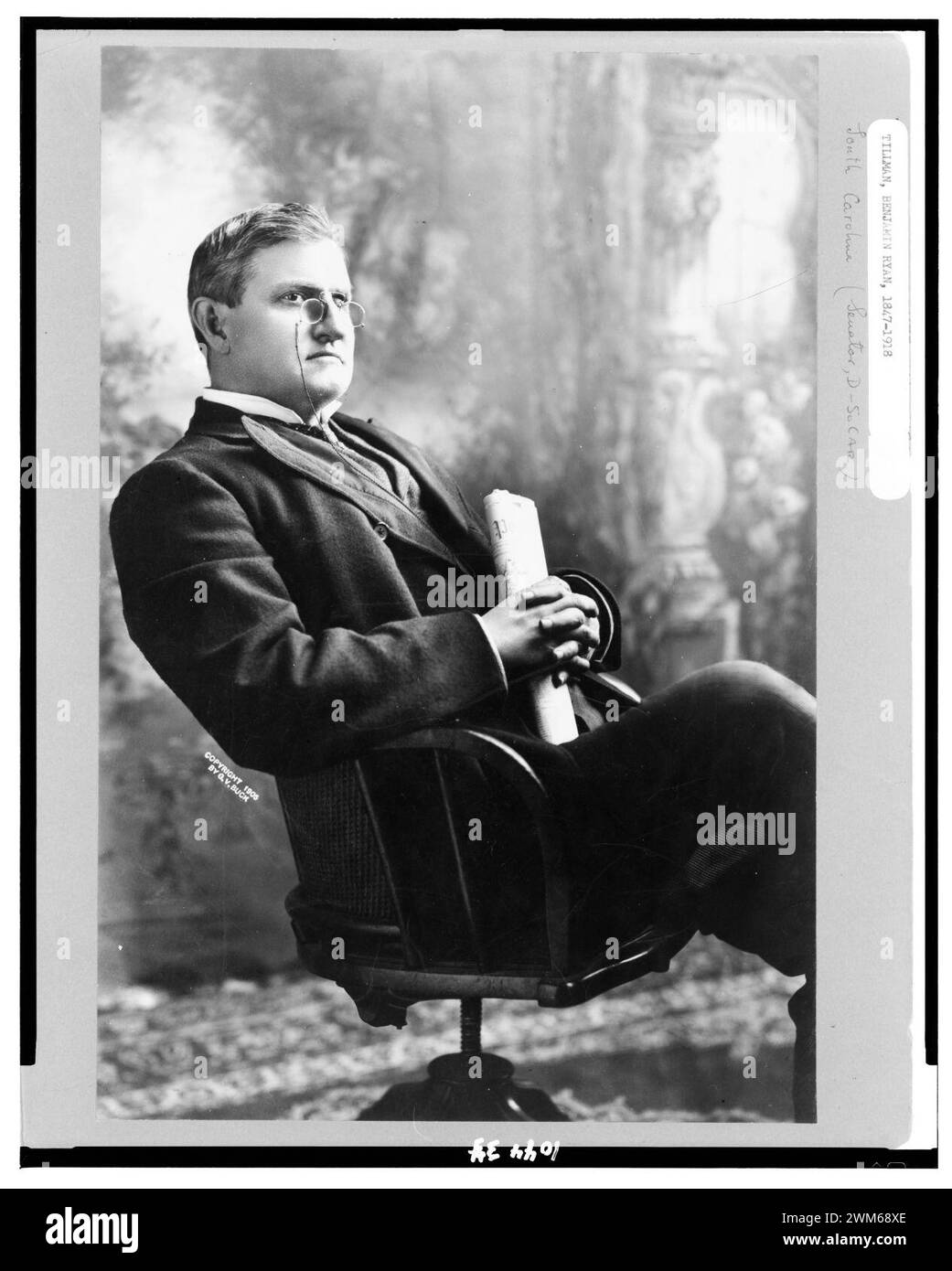 Benjamin Ryan Tillman, three-quarter length portrait, seated, facing ...