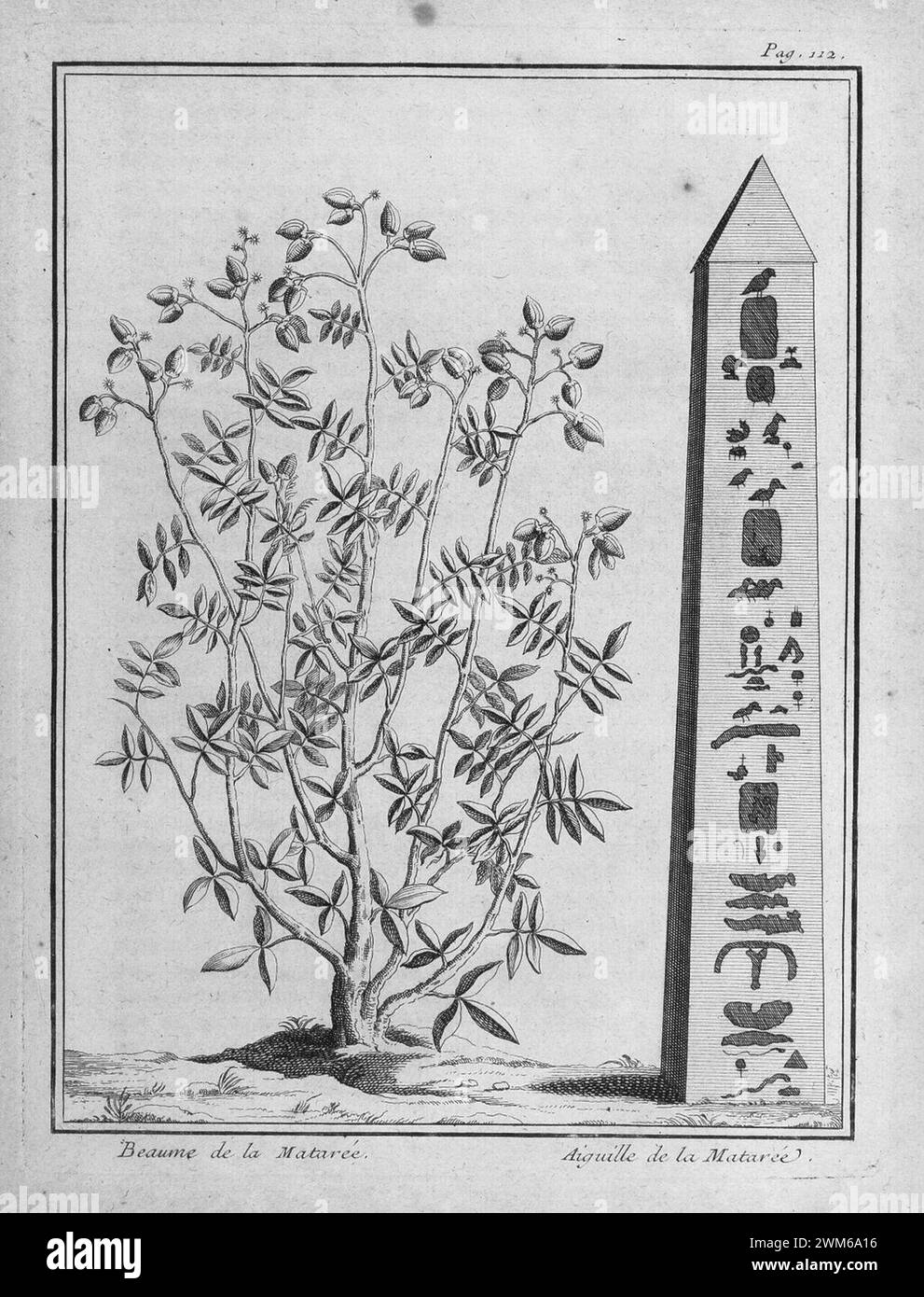 Benoît de Maillet Description de l'Egypte - Heliopolis Obelisk Stock ...