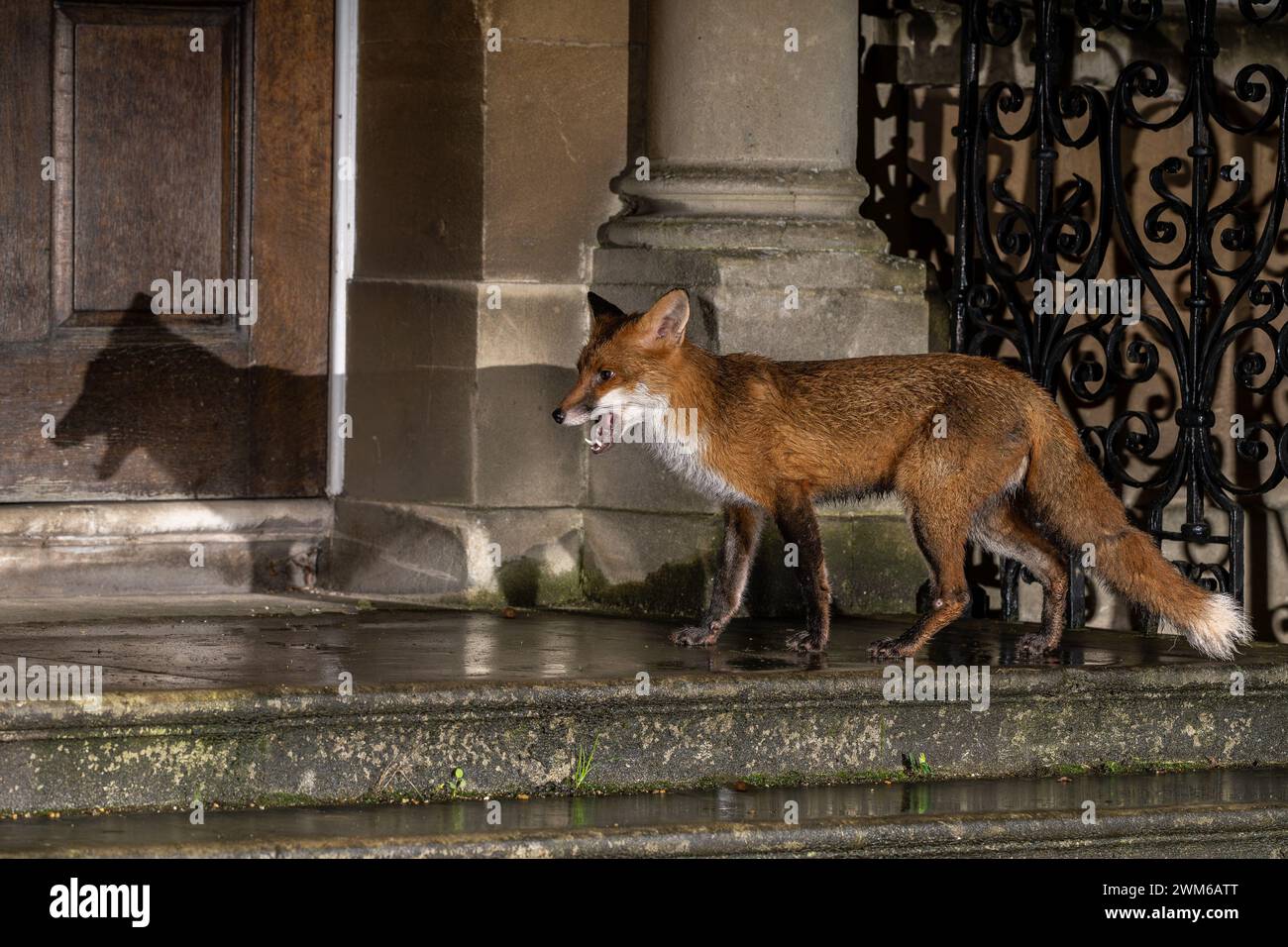 Male urban photography hi-res stock photography and images - Alamy