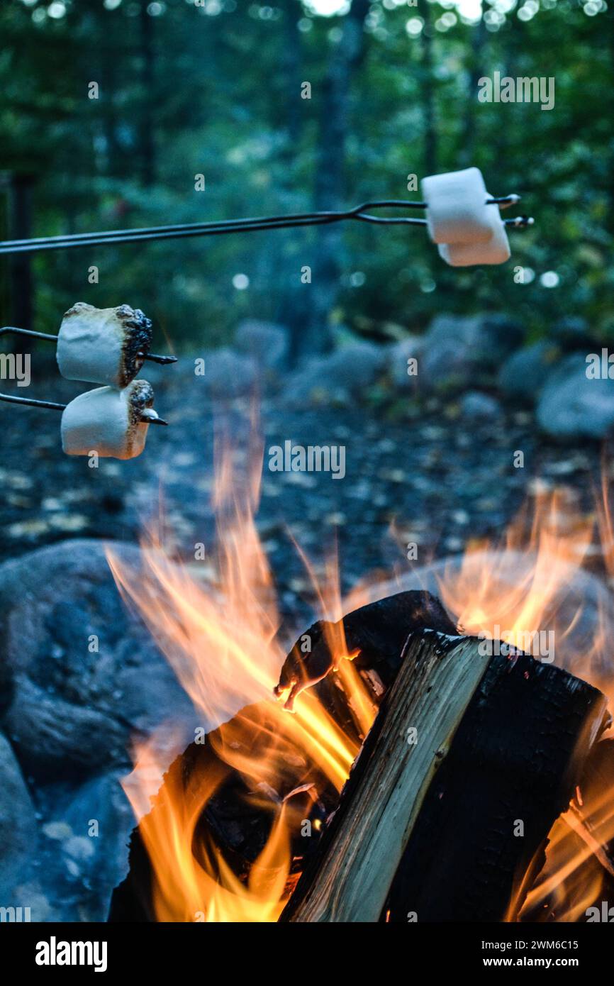 Roasting marshmallows over campfire hi-res stock photography and images ...