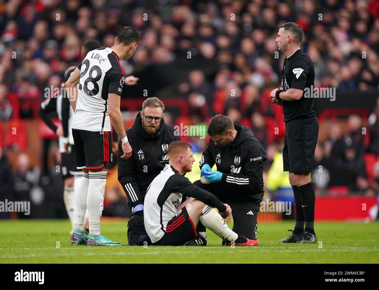 Fulham's Harrison Reed receives treatment for an injury during the ...