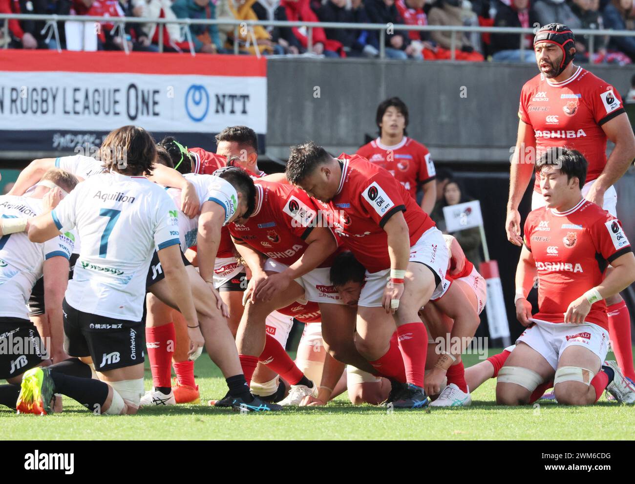 Tokyo, Japan. 24th Feb, 2024. Toshiba Brave Lupus Tokyo forward players ...