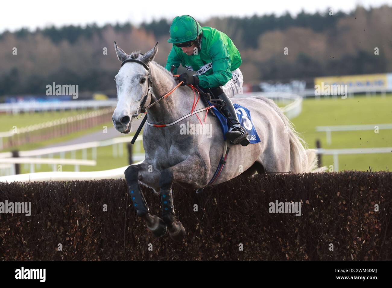 Intense raffles hi-res stock photography and images - Alamy