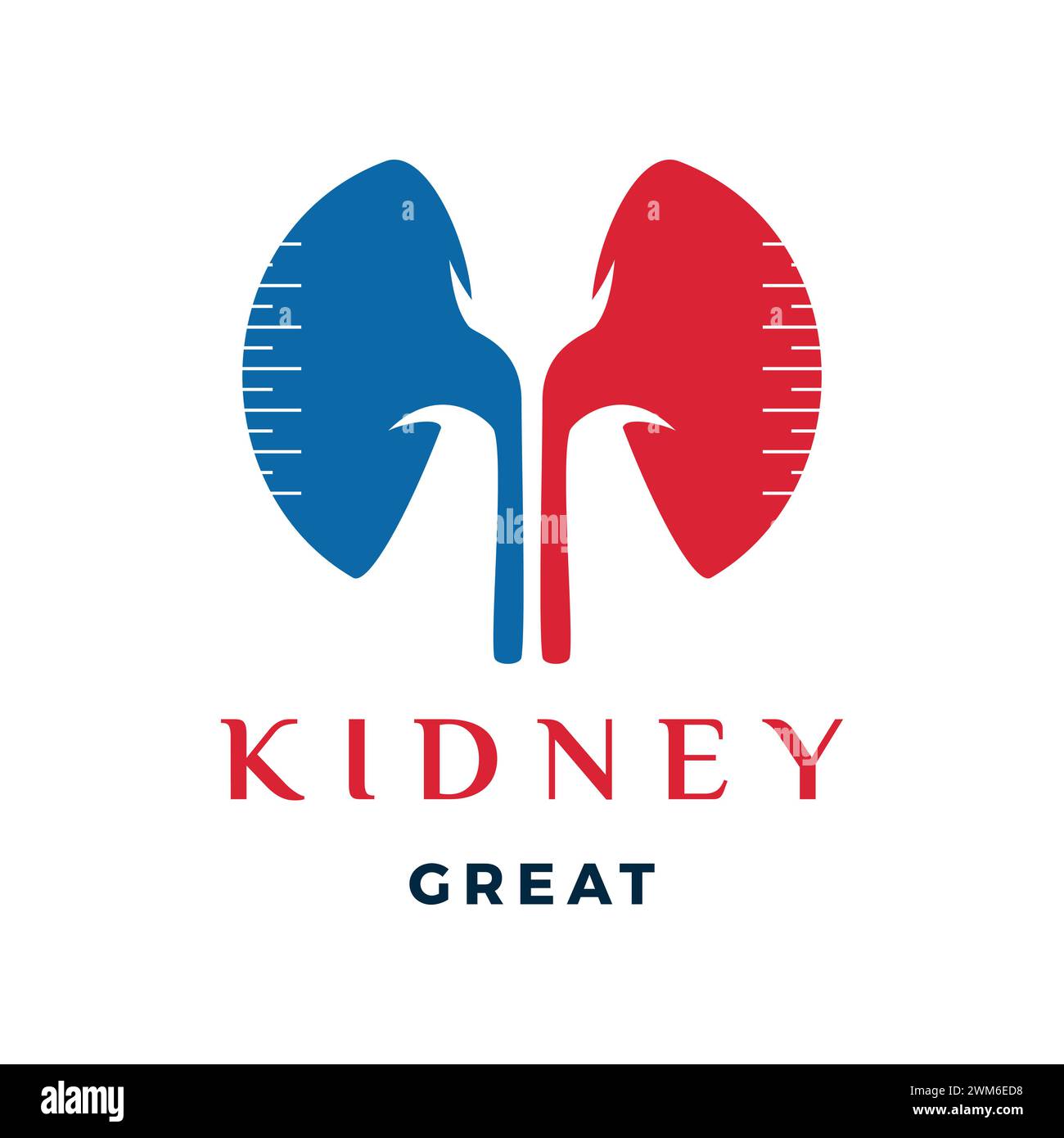 Urology kidney icon flat hi-res stock photography and images - Alamy