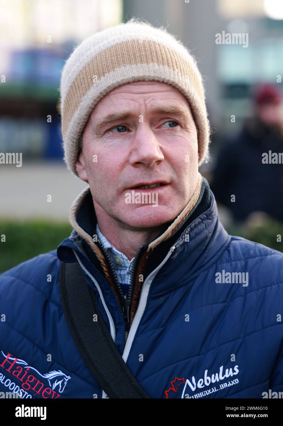 Intense raffles horse hi-res stock photography and images - Alamy