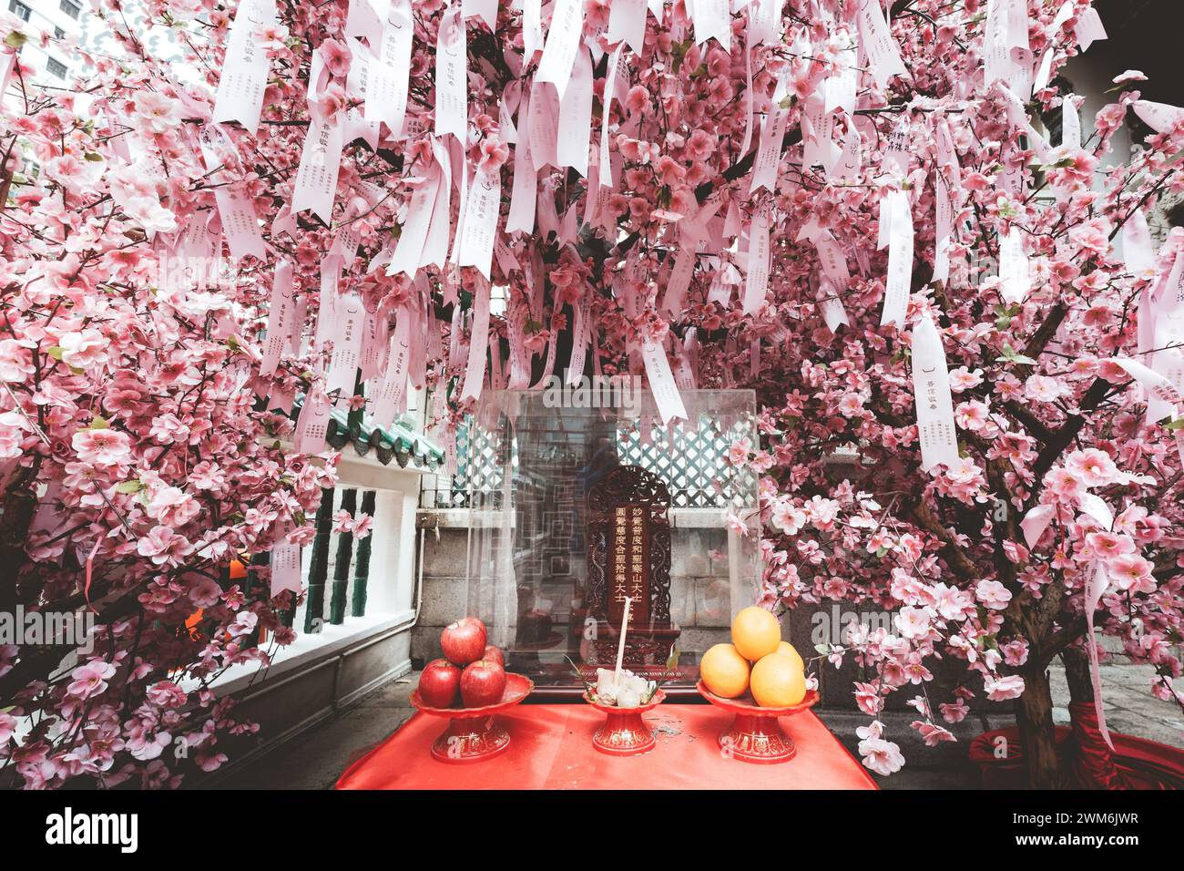 Pink decorated shrine at Man Mo Temple in Sheung Wan, Hong Kong Stock ...