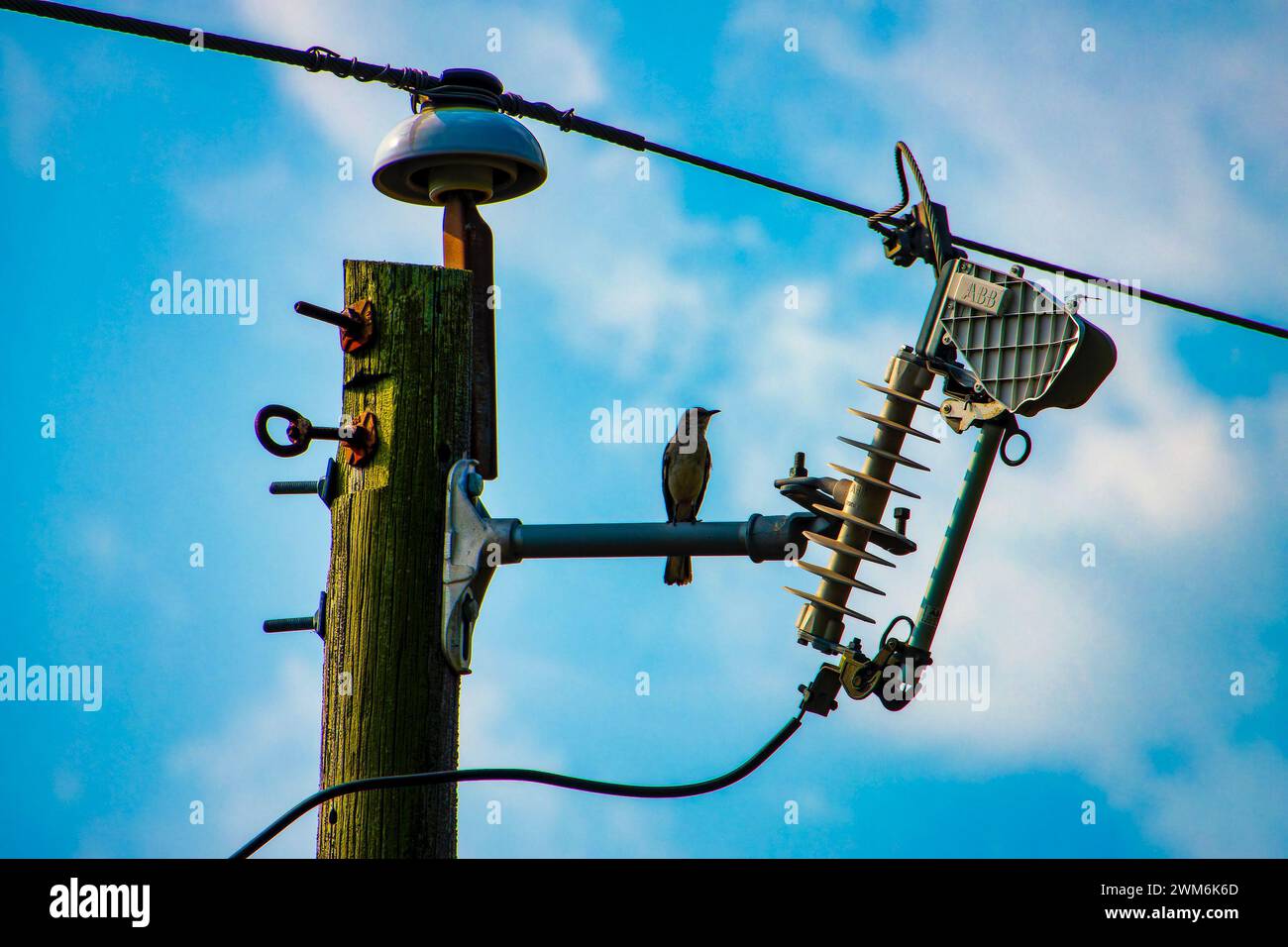Jumble wires hi-res stock photography and images - Alamy