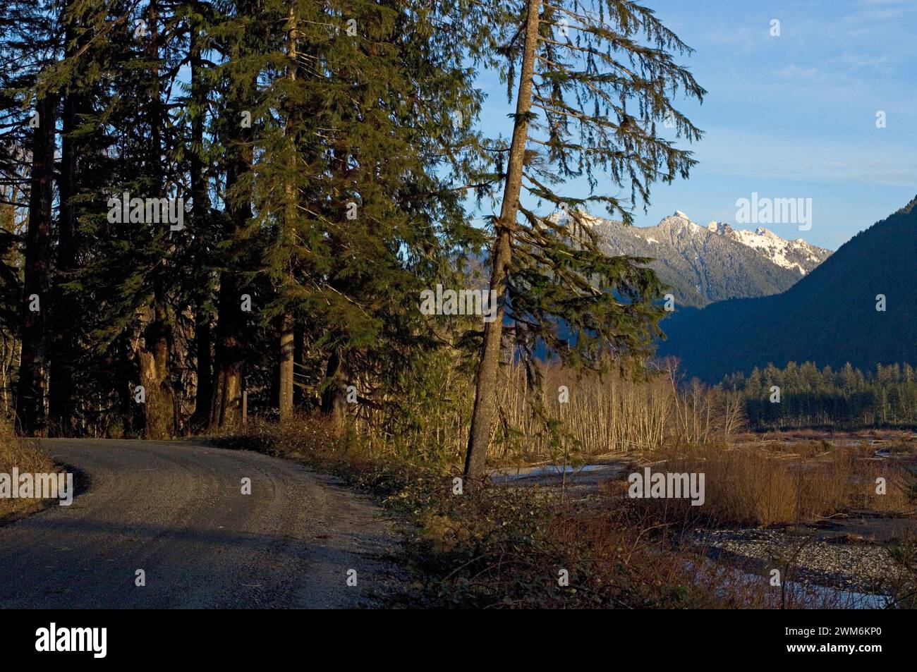 Quinault river in Olympic National Park, Olympic Peninsula, Washington ...