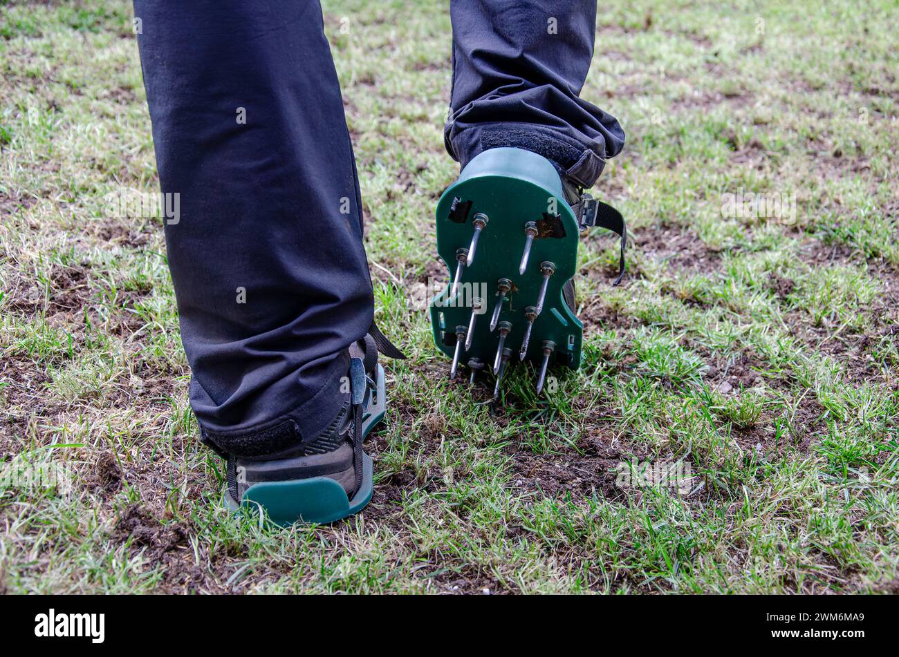 Close-up of lawn aerating shoes with metal spikes Stock Photo - Alamy