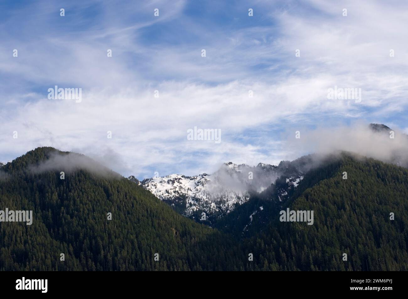 Olympic mountains wilderness fog hi-res stock photography and images ...