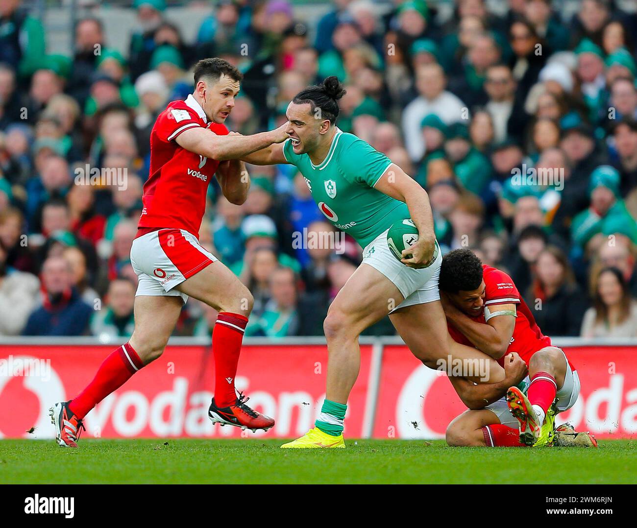 24th February 2024; Aviva Stadium, Dublin, Ireland: Six Nations ...